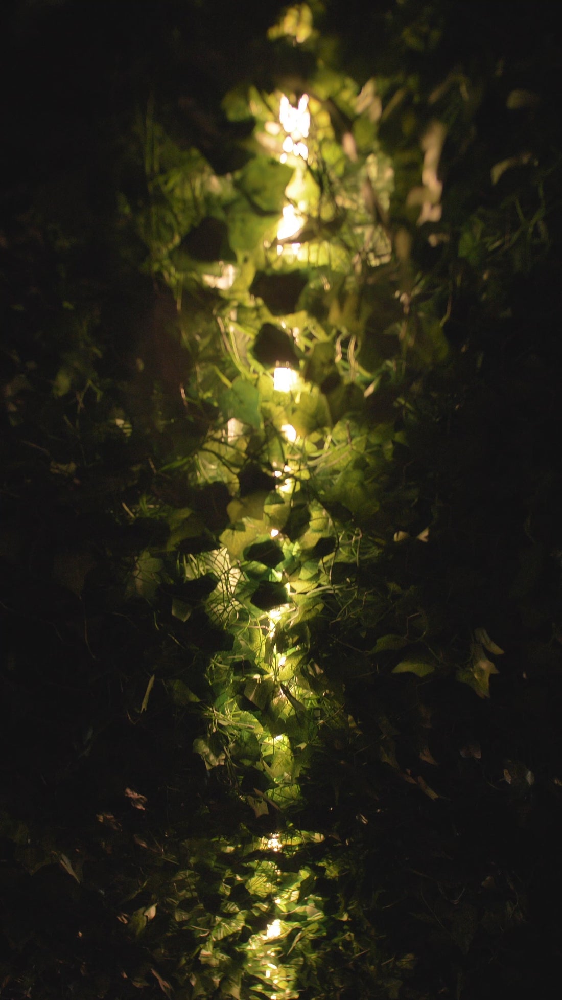 Revive Saunas & Hot Tubs Rostrevor